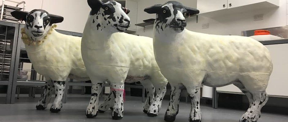 Cauliflower Life Size Sheep | Food is Art