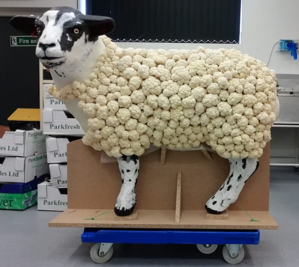 Cauliflower Life Size Sheep | Food is Art
